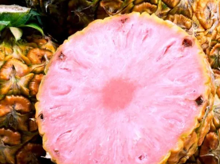 ¿Conoces la piña rosa? Esto se sabe - Nocion10